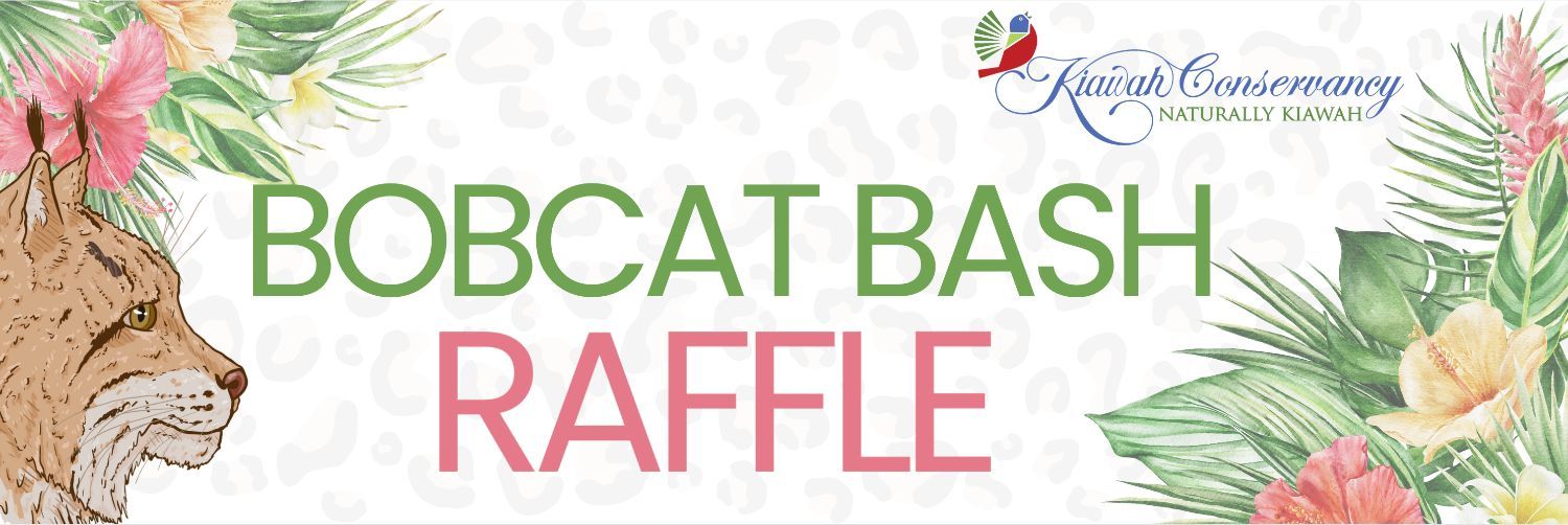 2025 Bobcat Bash Raffle